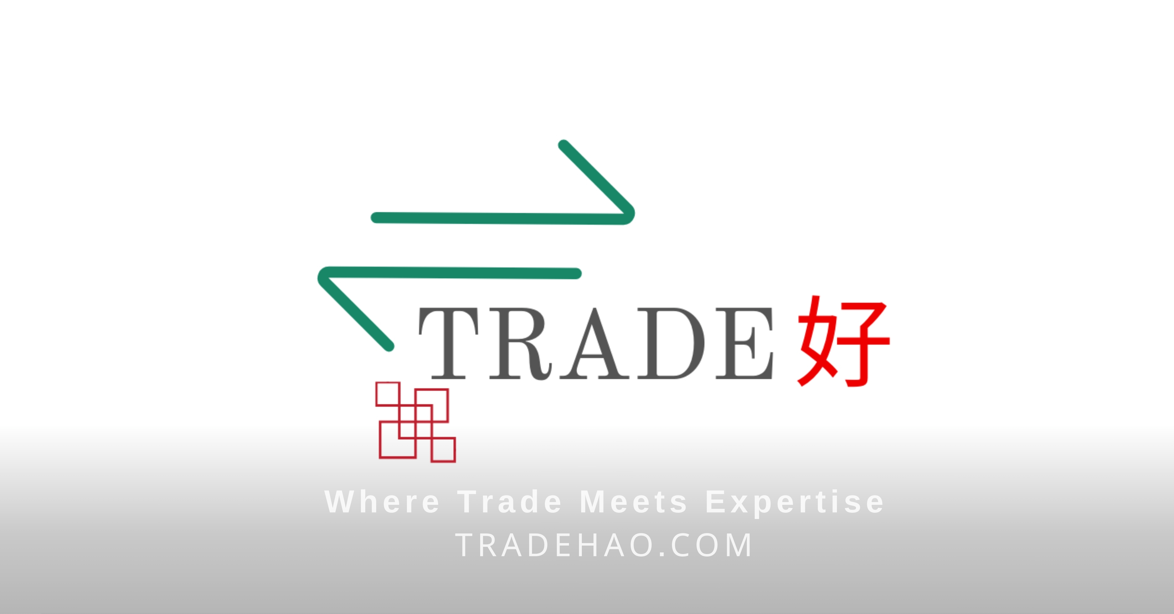 TradeHao: Your Trade Expert in China